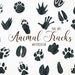 Watercolor Animal Tracks Clipart, Footprints Clipart, Footprints Clip ...