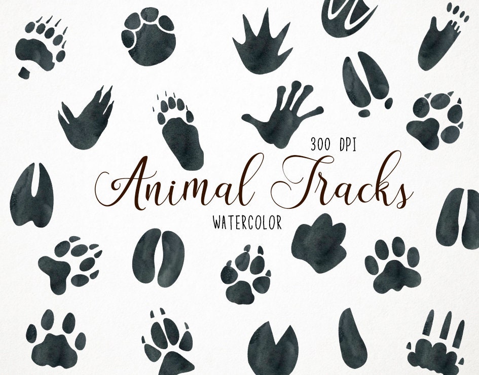Watercolor Animal Tracks Clipart Footprints Clipart | Etsy