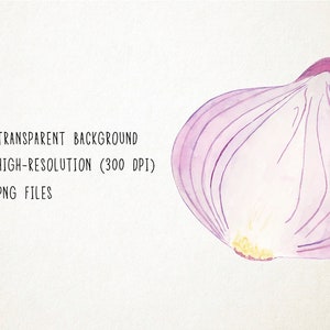 Watercolor Purple Clipart, Purple Color Clipart, Purple Objects Clipart ...