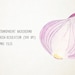 Watercolor Purple Clipart, Purple Color Clipart, Purple Objects Clipart ...