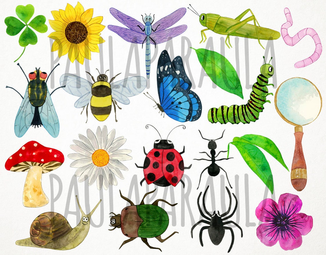 Watercolor Bugs Clipart, Insects Clipart, Animals Clipart, Nature ...