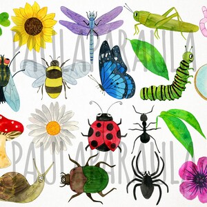 Watercolor Bugs Clipart, Insects Clipart, Animals Clipart, Nature ...