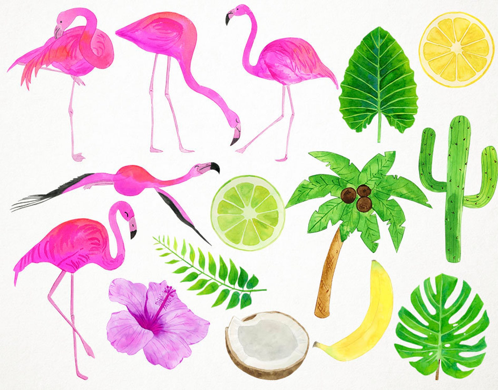 Flamingo Clipart Flamingo Clip Art Clipart Flamingo - Etsy