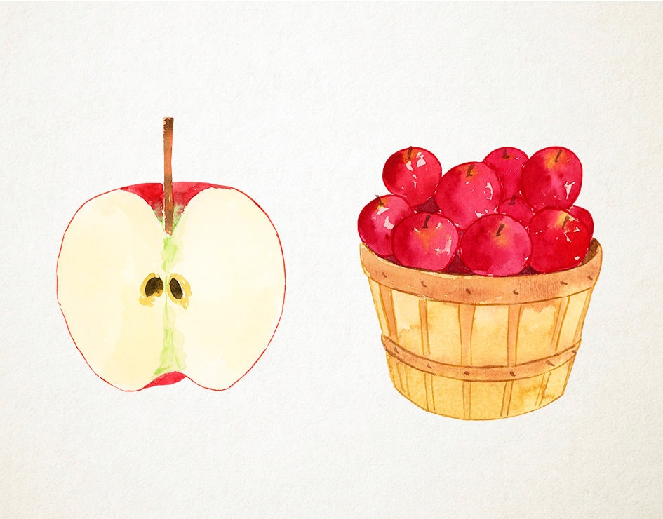Apple Clipart Watercolor Apple Clipart Apple Picking | Etsy