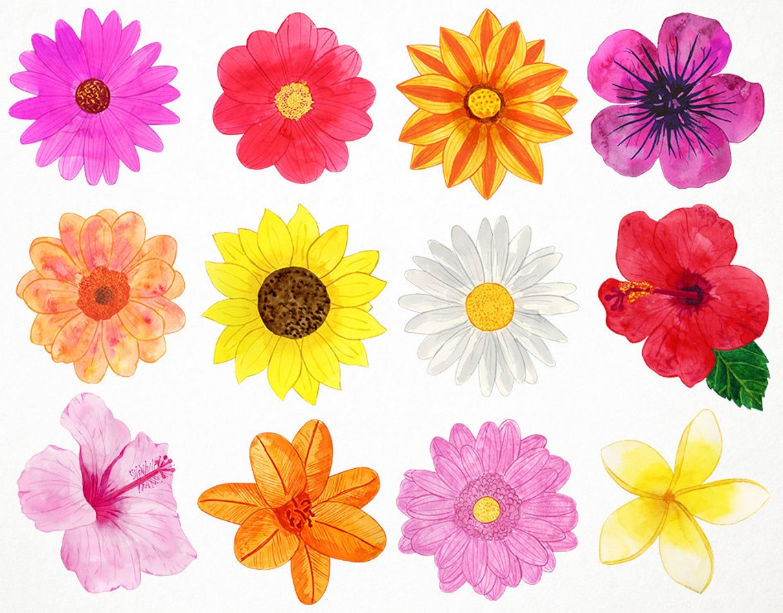 Flower Clipart, Spring Clipart, Flower Graphics, Spring Flowers Clipart ...