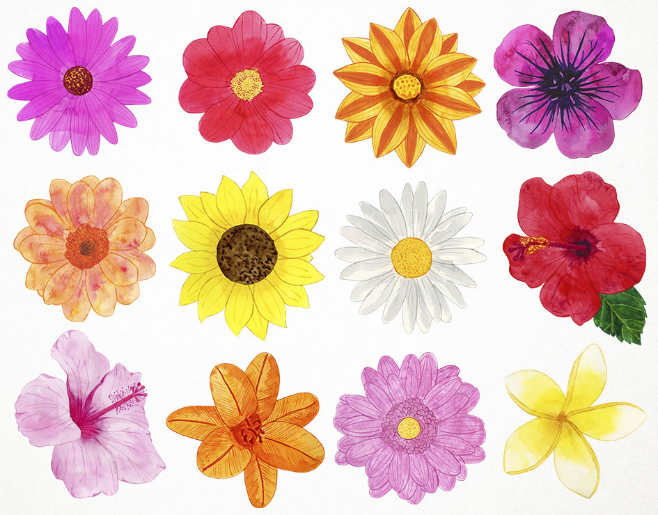 Flower Clipart, Spring Clipart, Flower Graphics, Spring Flowers Clipart ...