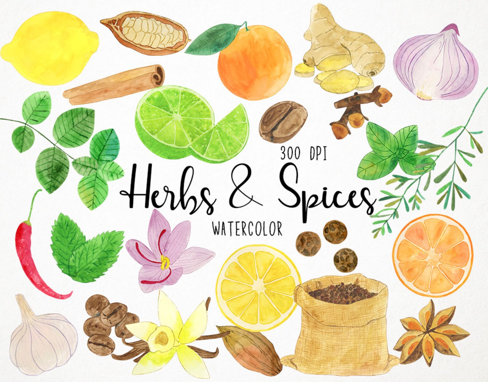 Watercolor Herbs Clipart Watercolor Spices Clipart Vanilla - Etsy