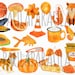 Watercolor Orange Clipart, Orange Color Clipart, Orange Objects Clipart ...