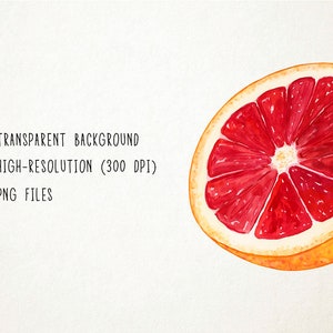 Watercolor Essential Oils Clipart, Aromatic Herbs Clipart, Oil Bottles ...