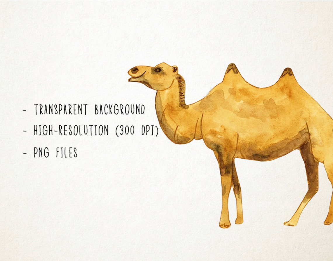 Watercolor Desert Clipart Arabian Clipart Arabian Desert - Etsy