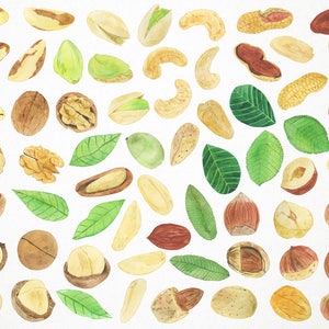 Nuts Clipart, Food Clipart, Watercolor Clipart, Nut Watercolor ...