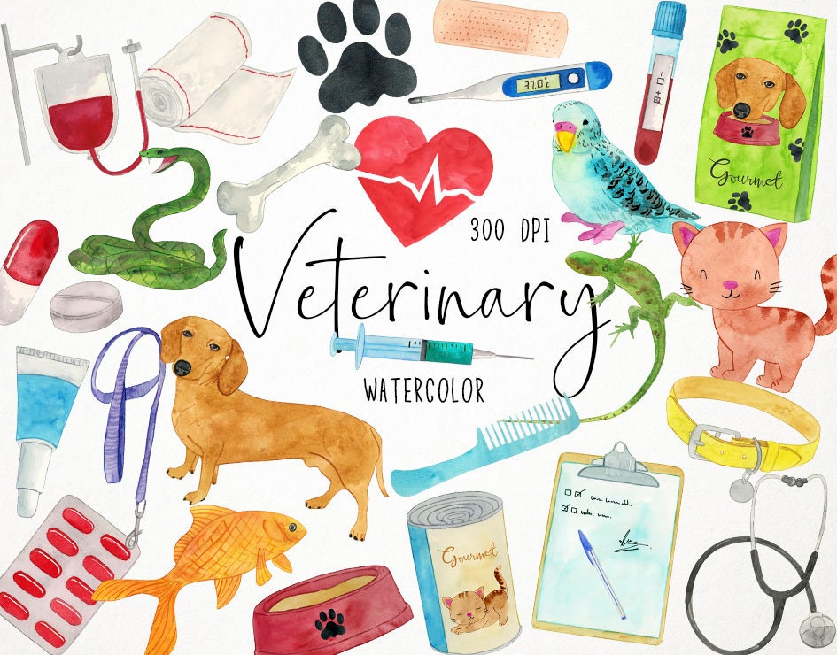 Veterinarian Clip Art Illustrations