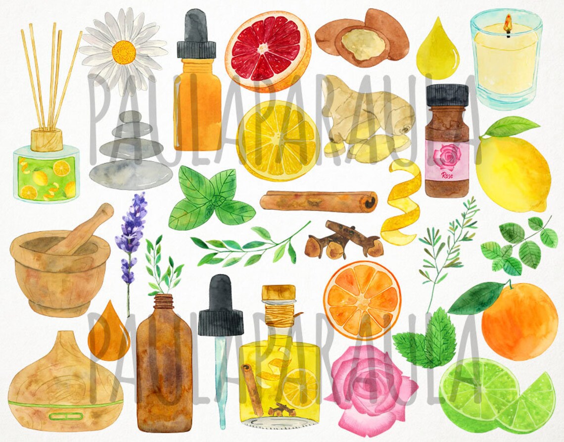 Watercolor Essential Oils Clipart Aromatic Herbs Clipart Oil - Etsy