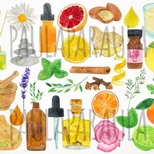 Watercolor Essential Oils Clipart, Aromatic Herbs Clipart, Oil Bottles ...