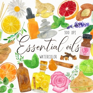 Watercolor Essential Oils Clipart, Aromatic Herbs Clipart, Oil Bottles ...