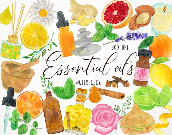 Watercolor Essential Oils Clipart Aromatic Herbs Clipart Oil - Etsy
