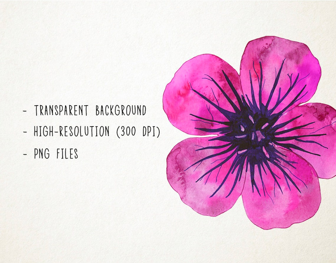 Watercolor Pink Clipart Pink Color Clipart Pink Objects - Etsy