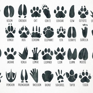 Watercolor Animal Tracks Clipart, Footprints Clipart, Footprints Clip ...