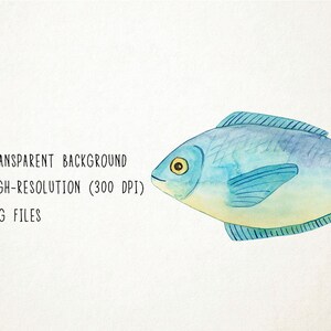 Watercolor Fishing Clipart, Fishing Graphics, Fishing Illustration ...