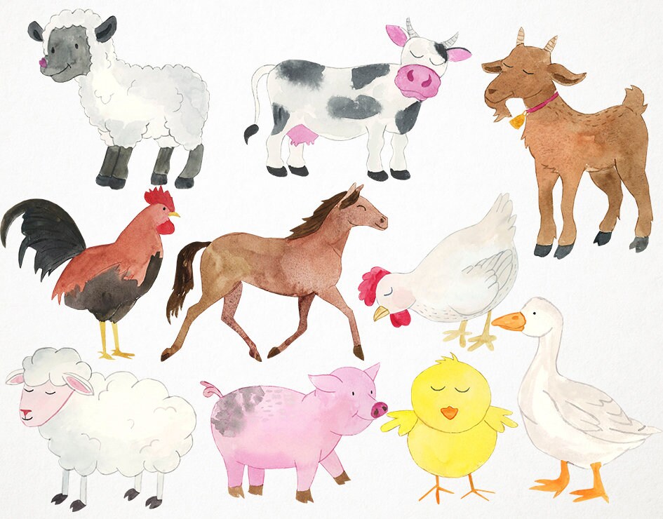 Farm Watercolor Clipart Farm Clipart Farm Animals Clipart - Etsy