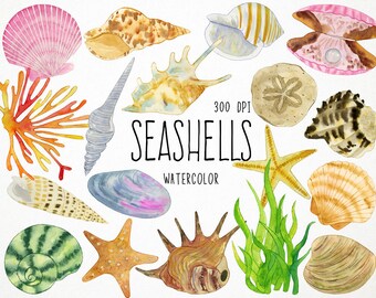 Watercolor Seashells Clipart, Sea Shells Png, Nautical Clipart, Ocean ...