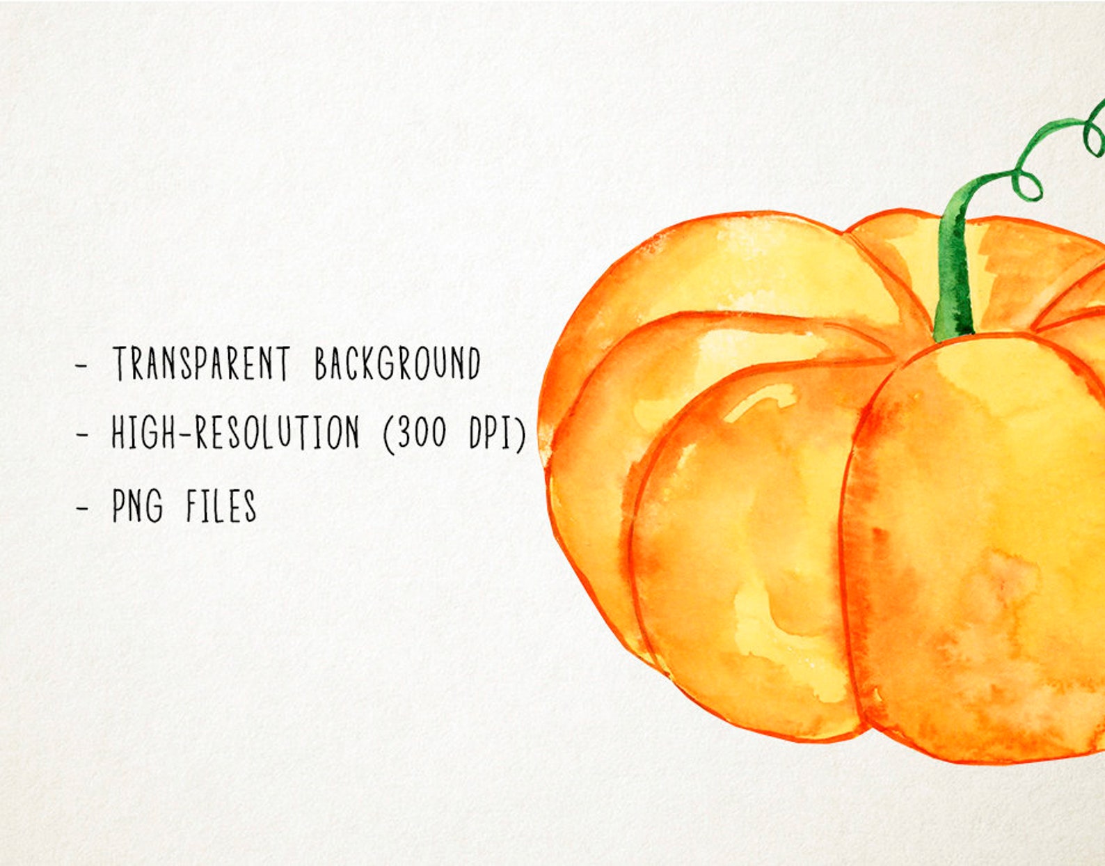 Watercolor Pumpkins Clipart Fall Clip Art Thanksgiving - Etsy