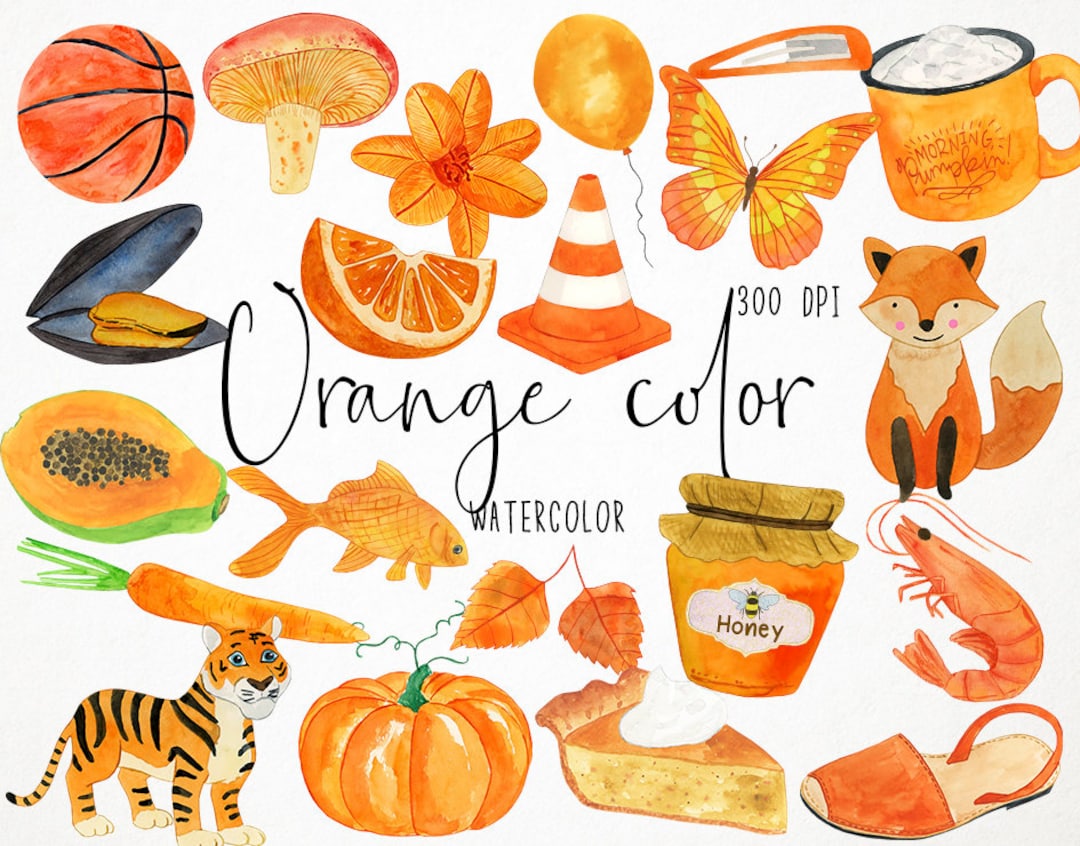 Watercolor Orange Clipart, Orange Color Clipart, Orange Objects Clipart ...