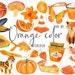 Watercolor Orange Clipart, Orange Color Clipart, Orange Objects Clipart ...