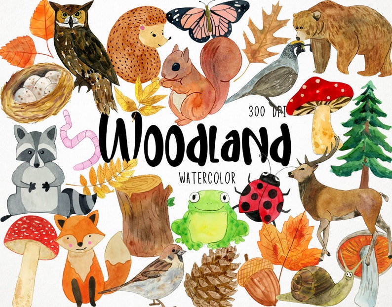 Watercolor Woodland Clipart Woodland Animals Clipart Forest - Etsy