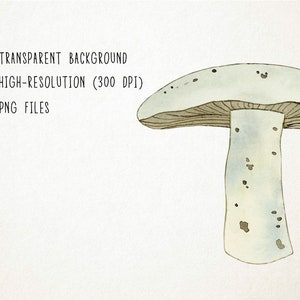 Watercolor Biology Clipart, Biologist Clipart, Science Clipart ...