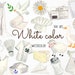 Watercolor White Clipart, White Color Clipart, White Objects Clipart ...