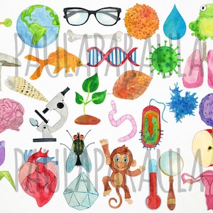 Watercolor Biology Clipart, Biologist Clipart, Science Clipart ...