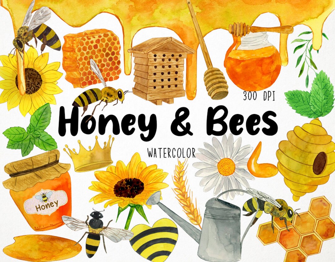 Watercolor Honey Clipart, Bees Clipart, Bumblebee Clipart, Honeybee ...
