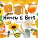 Watercolor Honey Clipart, Bees Clipart, Bumblebee Clipart, Honeybee ...