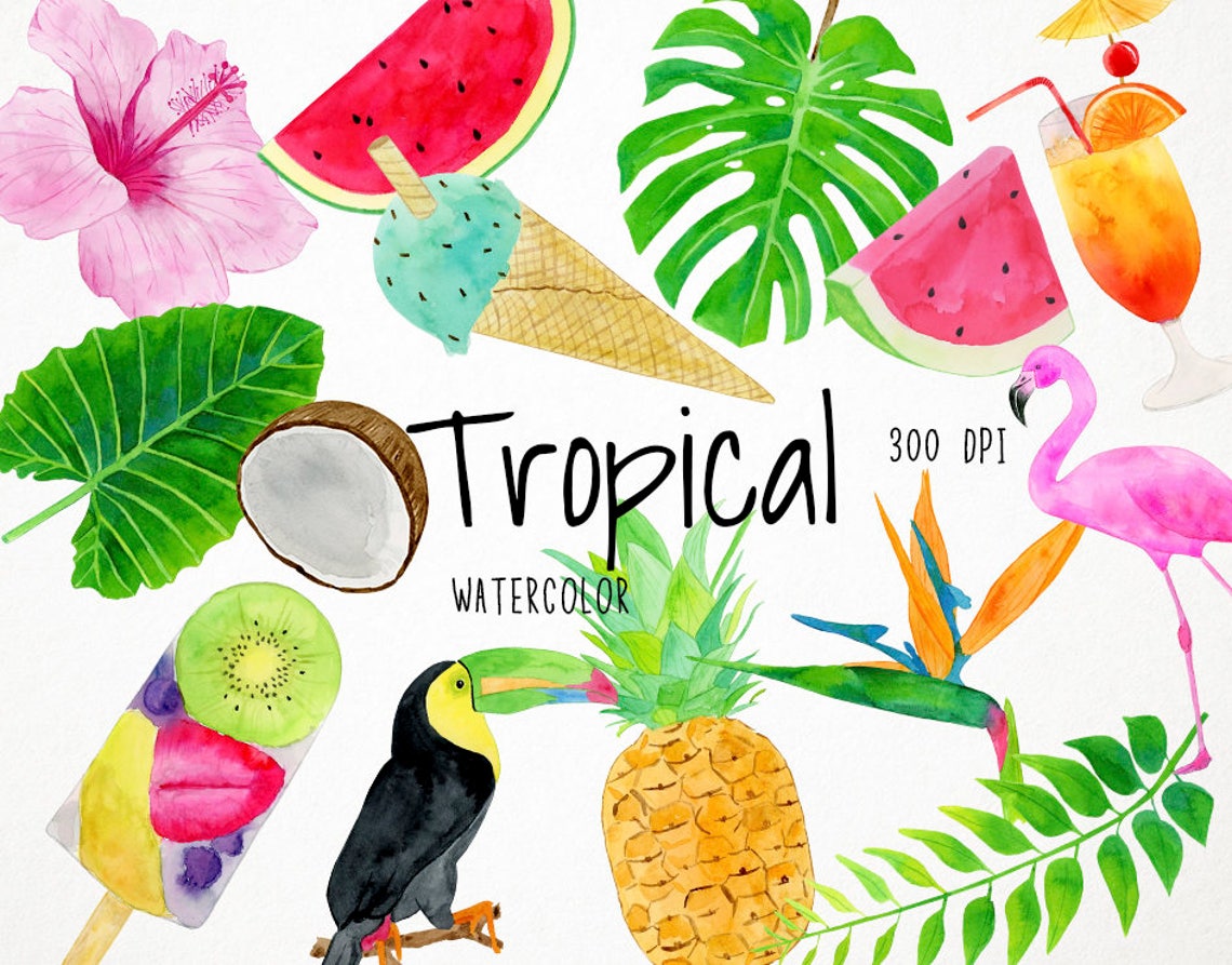 Flamingo Clipart Tropical Clipart Summer Clipart Watercolor | Etsy