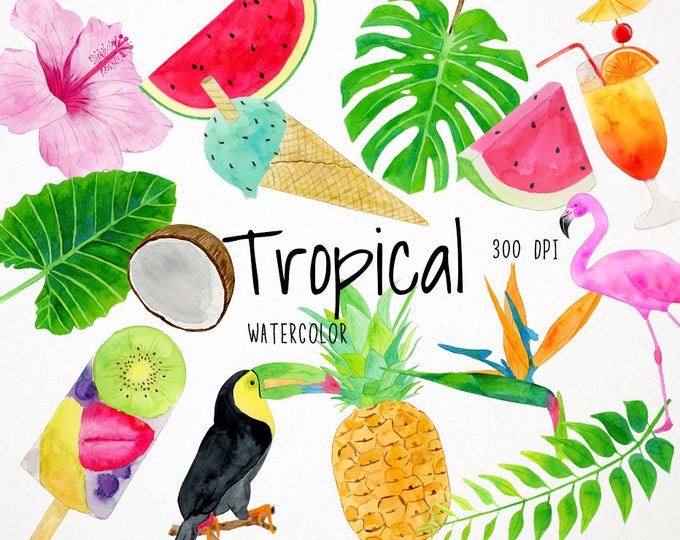 Tropical Clipart, Tropical Birds Clip Art, Tropical Summer, Flamingo ...