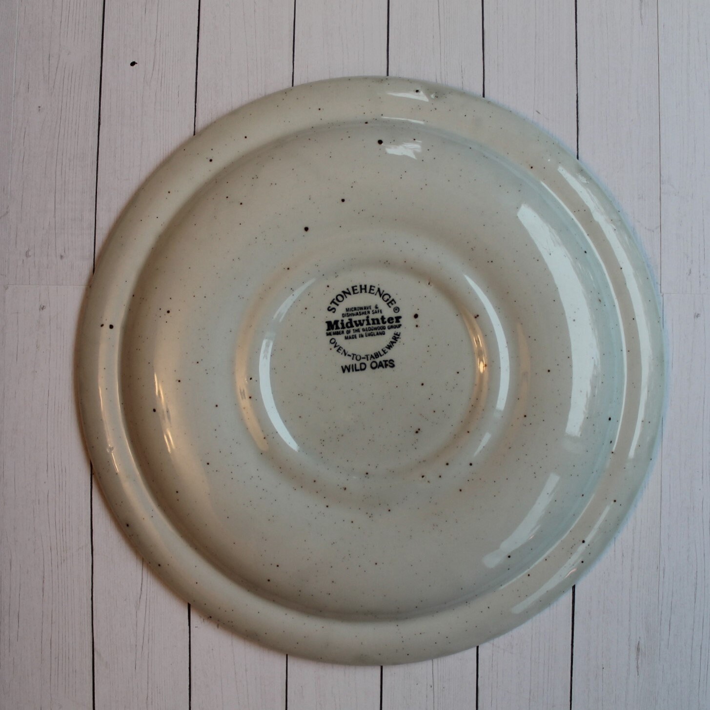 Vintage Midwinter Stonehenge WILD OATS Dinner Plate Set of 2 White with ...