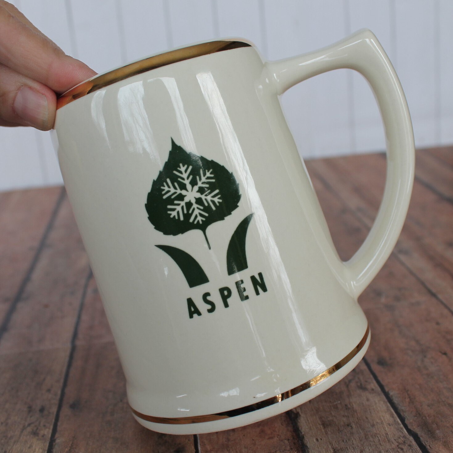 Vintage Aspen Colorado Souvenir Mug Stein White with Green Leaf and ...