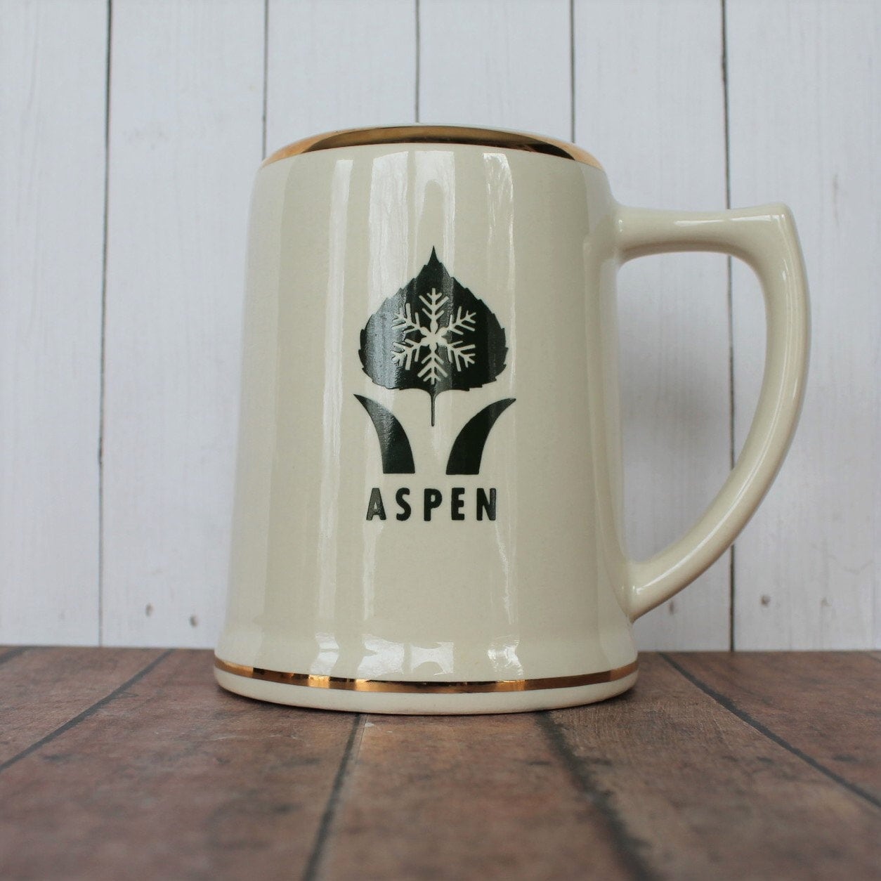 Vintage Aspen Colorado Souvenir Mug Stein White with Green Leaf and ...