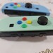 New Nintendo Switch Custom Animal Crossing Styled Joycons and Backplate ...