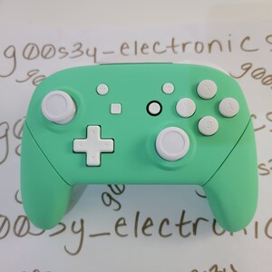 New Nintendo Switch Custom Mint Green Pro Controller With White Buttons ...