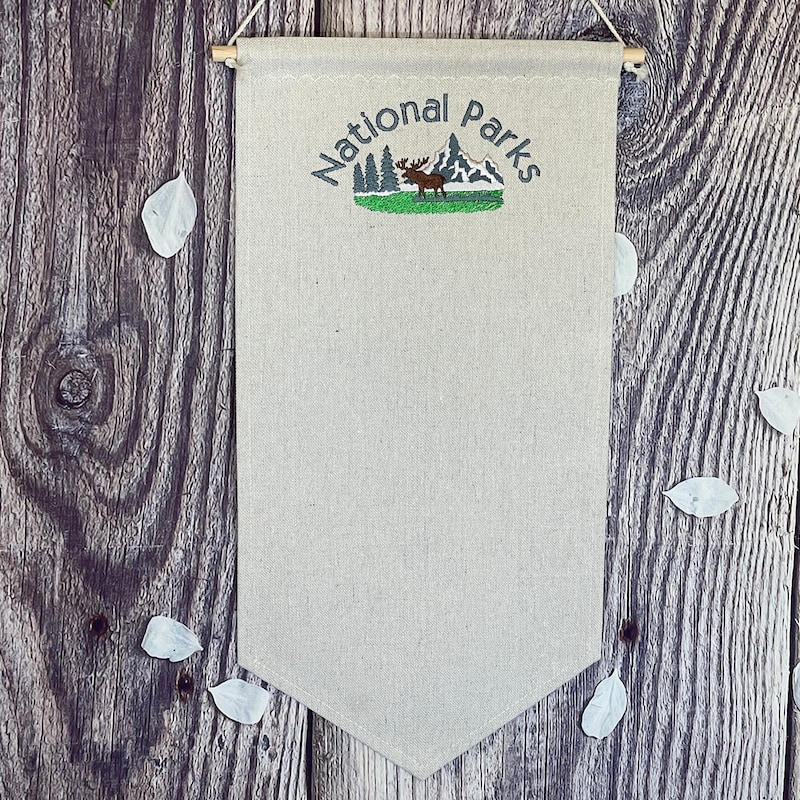 National Park Pin - Etsy