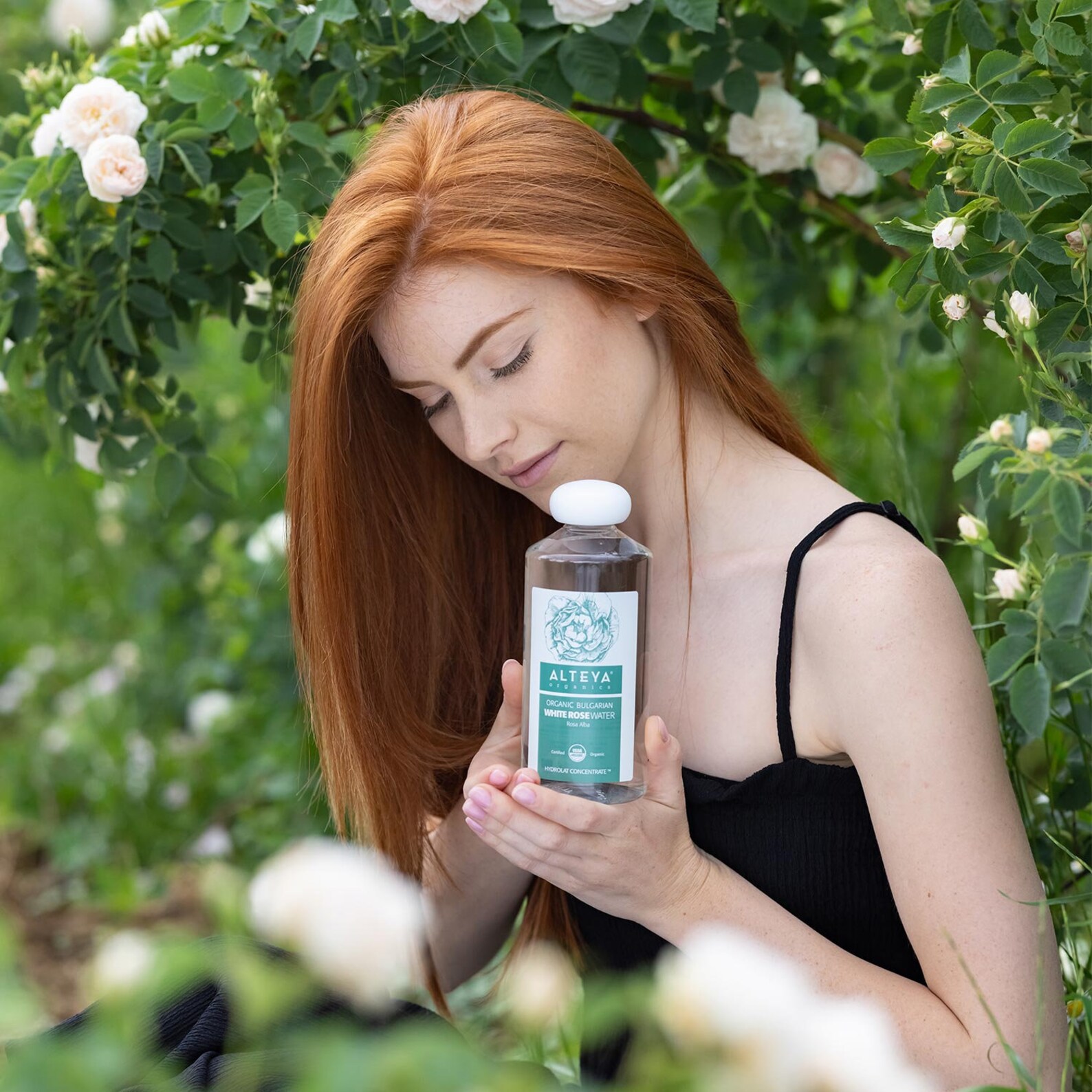 White Rose Water (bulgarian Rosa Alba) - USDA Certified Organic - Bpa ...