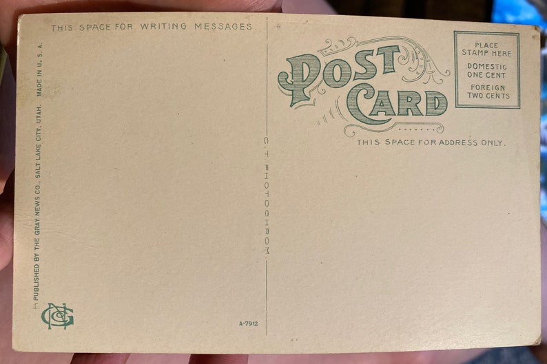 Lovely Early 1900s Colorized Postcard of Oneonta Bluff on the - Etsy