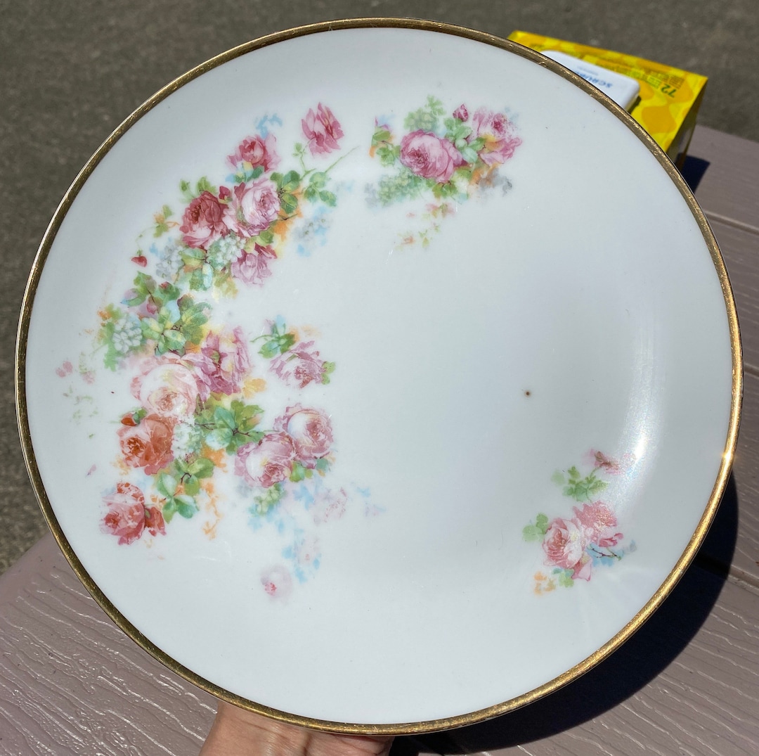 Gorgeous Antique Favorite Bavaria Porcelain 8-5/8” Pink and Peach Roses ...