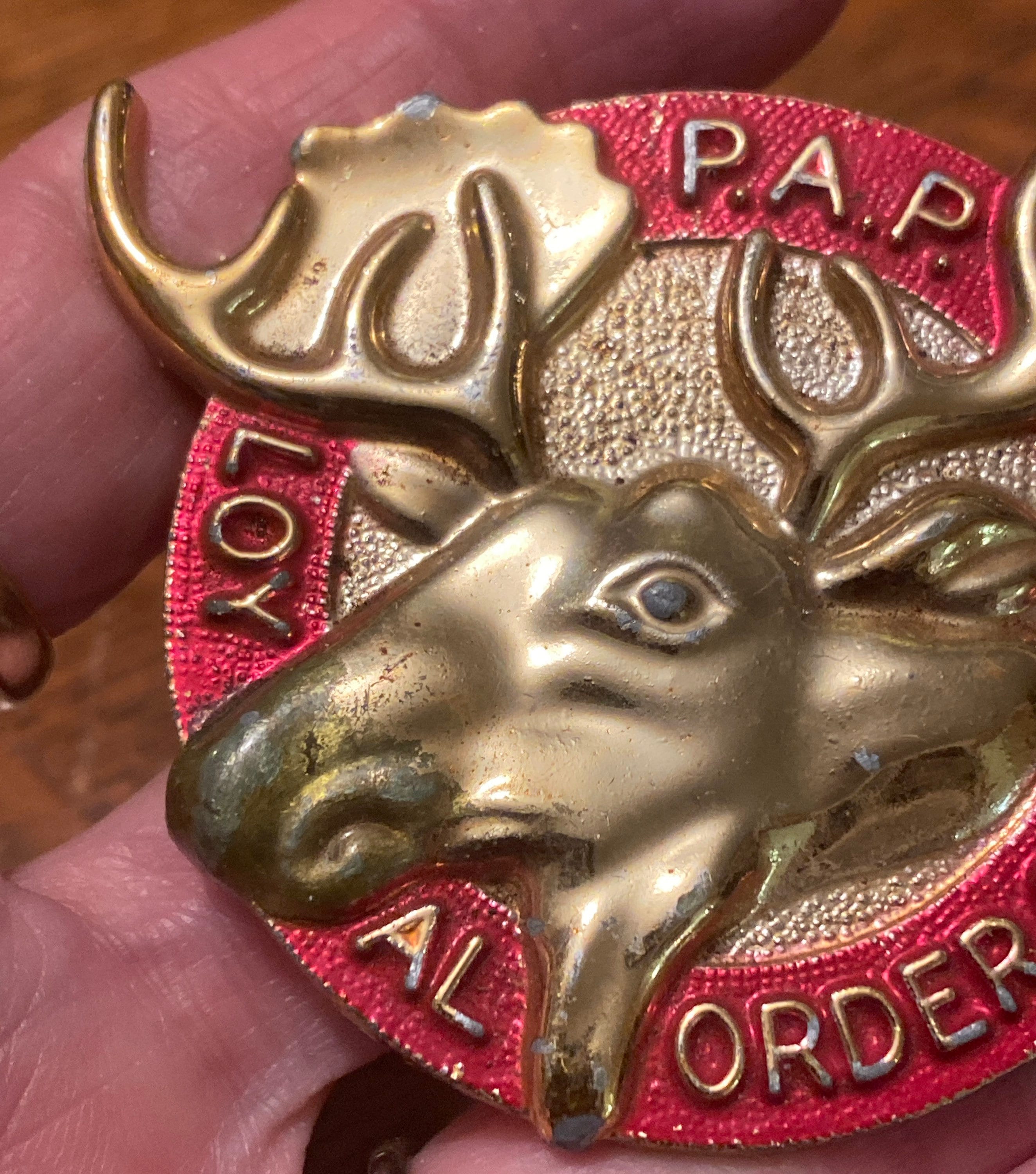 Pap Loyal Order Of Moose