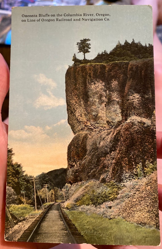 Lovely Early 1900s Colorized Postcard of Oneonta Bluff on the | Etsy