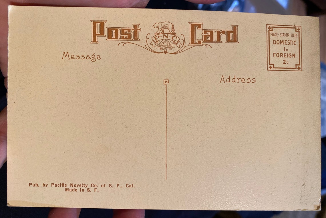 Lovely 1900s Sepia Tone Postcard of St. Francis Cathedral in Portland ...