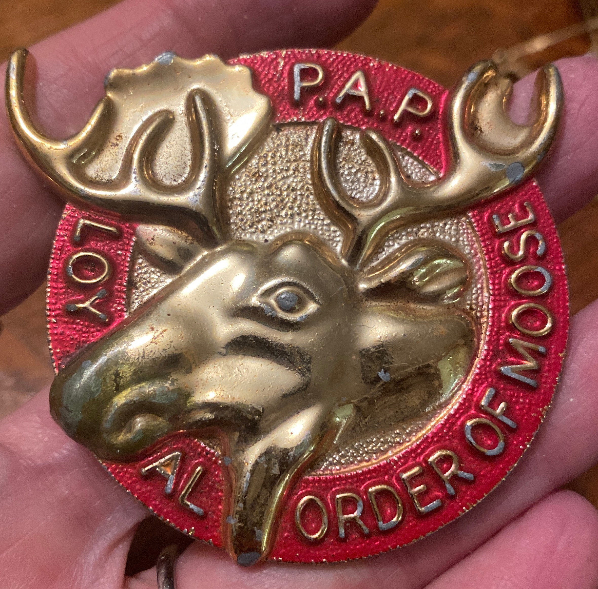 Pap Loyal Order Of Moose
