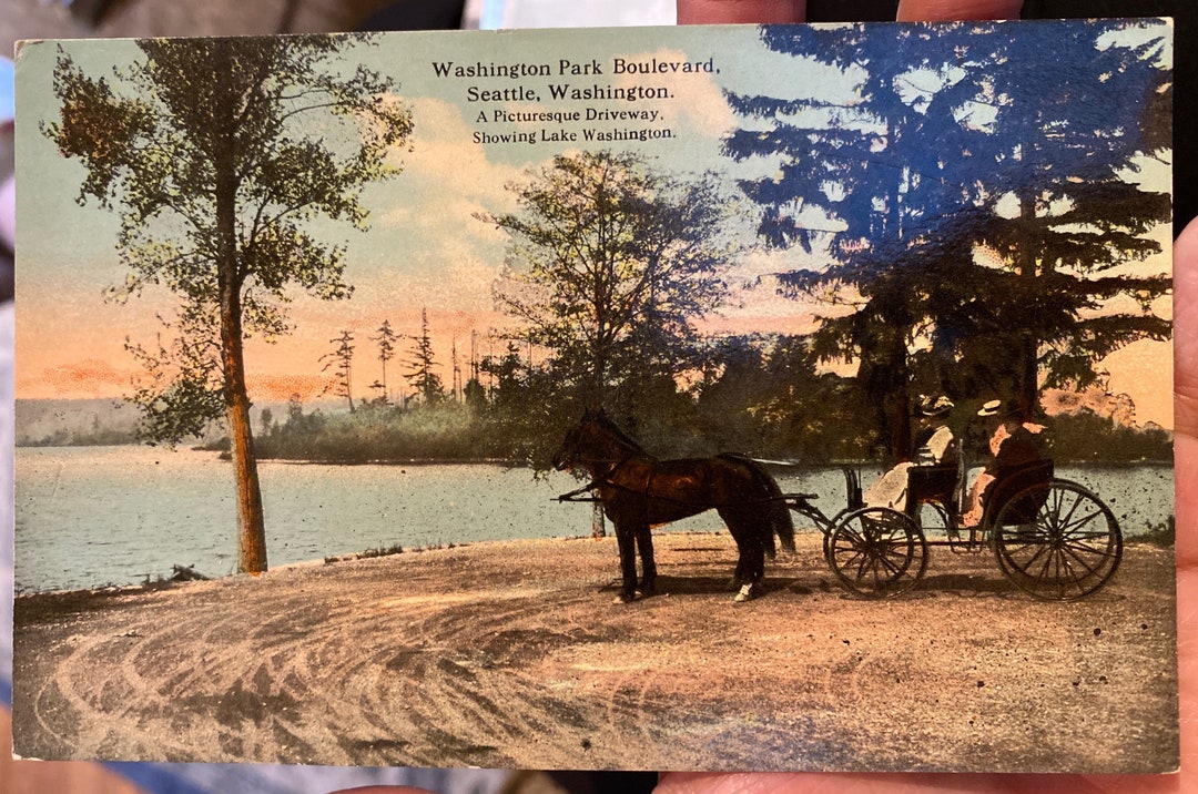 Beautiful Antique Colorized Postcard of Washington Park Boulevard ...